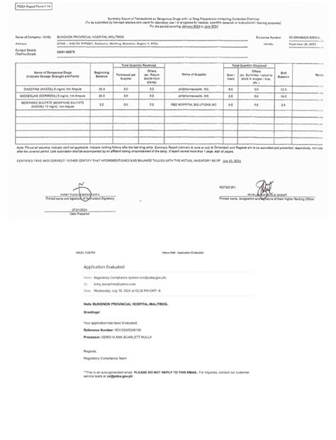 Pdea Report Form Final Pdf