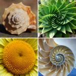 Fibonacci Sequence