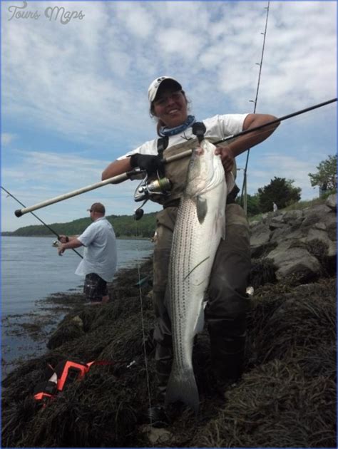 Striper Fishing Cape Cod Canal