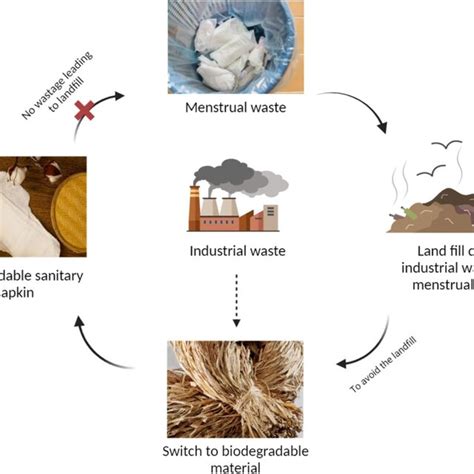Biodegradable Sanitary Napkins A Sustainable Approach Towards Menstrual And Environmental Hygiene
