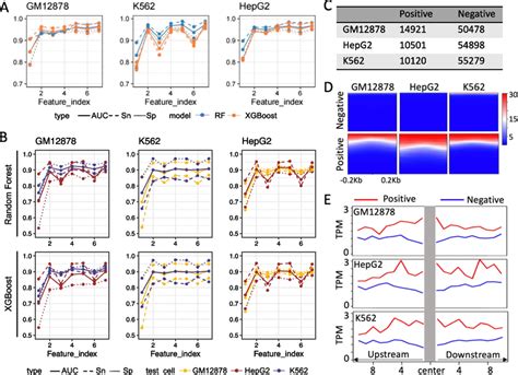 Performance Of The Model A The Performance Of The Model Trained And