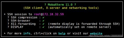 docker 容器如何开启 ssh 远程连接和 x11 x11 forwarding disabled or not supported