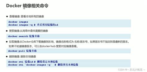 Docker部署mysql教程 Csdn博客