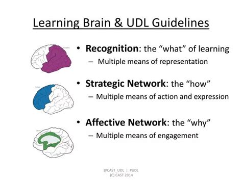 PPT Learning Brain UDL Guidelines PowerPoint Presentation Free Download ID 6155177