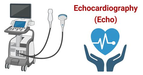Transesophageal Echocardiogram Machine