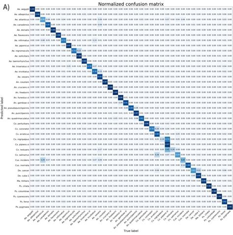 Convolutional Neural Networks That Identify Mosquito Species And Know When They Do Not Know