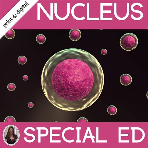 Nucleus Of The Cell Organelle Unit For Special Education Print And Digital • Special Needs For