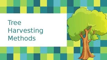 Tree Harvesting Methods By Meghan McMahon TPT