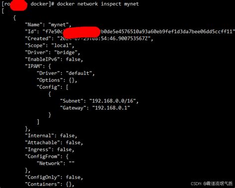 Docker中docker网络 理解docker0与自定义网络的使用示例 Csdn博客