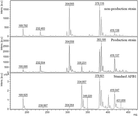Maldi Tof Mass Spectra Of Afb1 Obtained By Isolation From Aspergillus Download Scientific