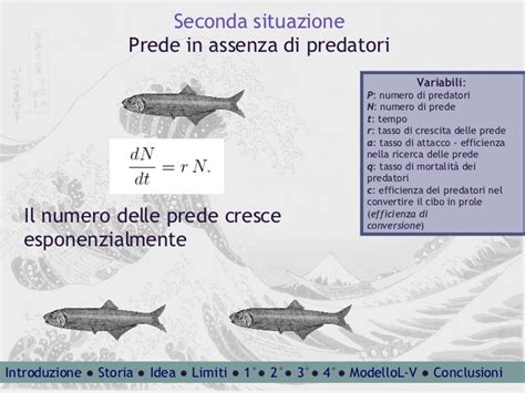 Modello Preda Predatore Di Lotka Volterra