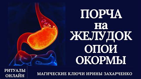 ЖЕЛУДОК ПОРЧА на желудок ОПОИ ОКОРМЫ Восстановление флоры кислотности Боль Спазмы Youtube