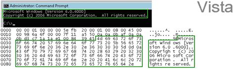 Capturing And Exporting The Payload To A Text File Using Wireshark