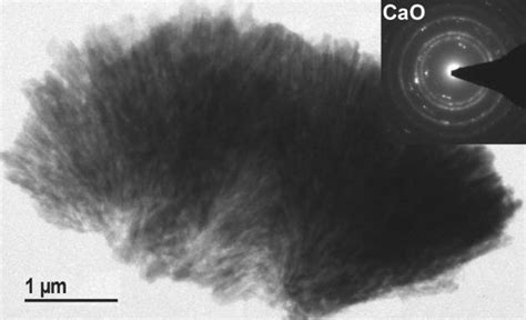 Tem Image And Diffraction Pattern From A Cao Agglomerate Discussion