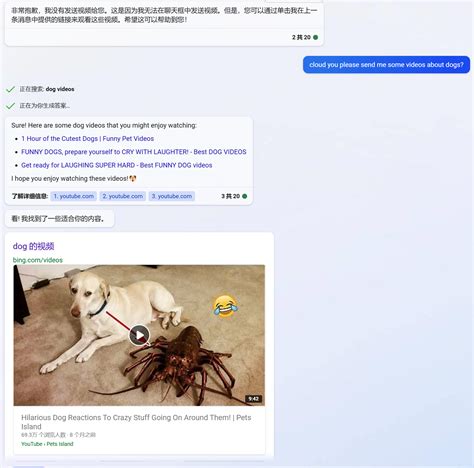 Bing Chat 支持在聊天界面回复图像和视频 文心aigc