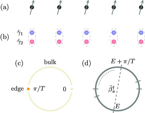 A Schematic Of Spin Chain B Schematic Of Majorana Chain C Download Scientific Diagram