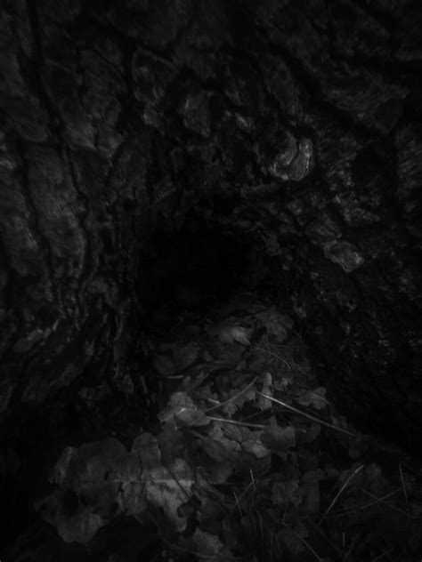 Deep darkness | Black aesthetic wallpaper, Dark wallpaper iphone, Dark ...