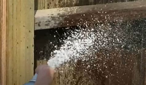 How To Get Rid Of Bees Safely Keep Them Away For Good