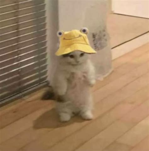 백준 자바 1051번 숫자 정사각형