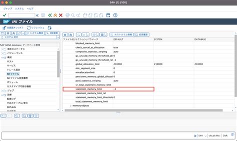 Hanaパラメータ：statementmemorylimit Sap Basis マニア