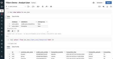 How To Mask Sensitive Financial Data With Databricks And Immuta Immuta