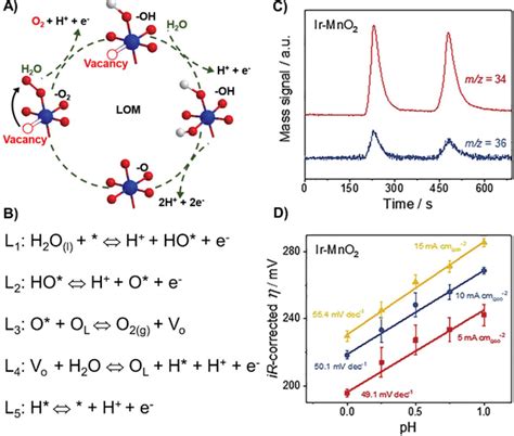 A B Schematic Diagram Of Lom Pathway For Oer In Acids C Dems Download Scientific Diagram