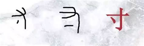 寸是象形字还是指事字 手是象形字还是形声字 字的篆书 大山谷图库