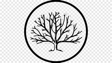 Tree Deciduous Tree Leaf Branch Png PNGEgg