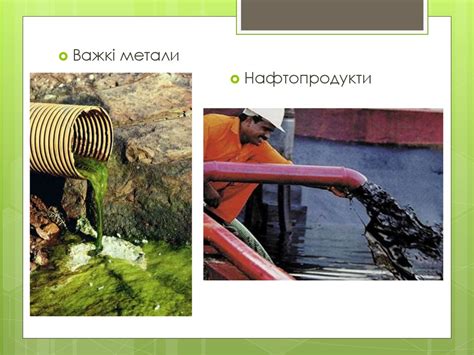 Здоровя людини та навколишнє середовище презентация онлайн