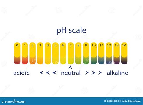Ph Scale Litmus Paper Color Chart Vector Illustration 80714662