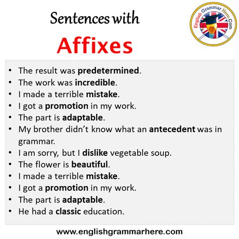 Affixes Definition List Of Common Prefixes Suffixes English 58 Off