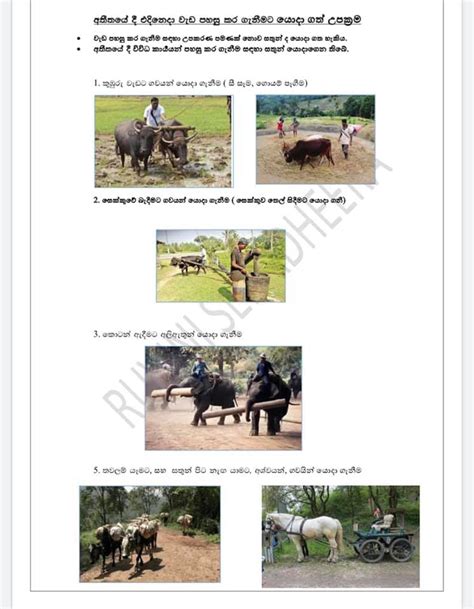 පොඩ්ඩන්ගේ තක්සලාව Added A New Photo පොඩ්ඩන්ගේ තක්සලාව