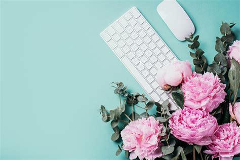 흰색 키보드 노트북 및 모란 유칼립투스 꽃 파란색 배경에 공간을 복사 홈 오피스 작업 공간 여성스러운 작업 공간 플랫 레이 블로거 비즈니스 개념 모의 생일 여성의 날 0명에