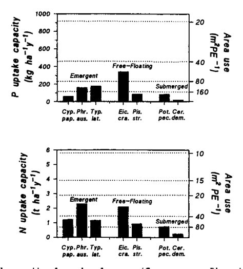 Figure 2 From Functions Of Macrophytes In Constructed Wetlands Semantic Scholar