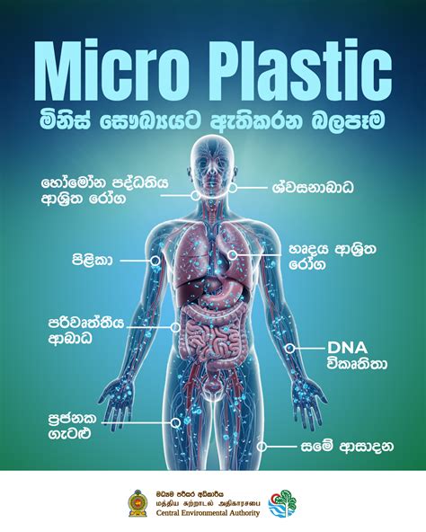 Central Micro Plastic මිනිස් සෞඛ්‍යයට ඇතිකරන බලපෑම ගැන ඔබ කෙතරම් දුරට දැනුවත්ද