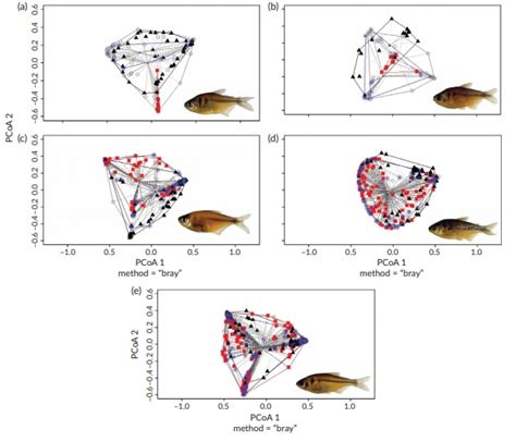 Is Resource Partitioning The Key The Role Of Intra‐interspecific Variation In Coexistence Among