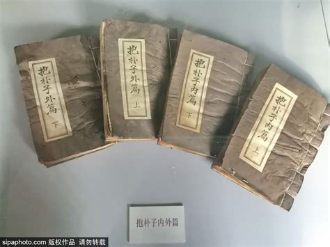 北京南三环万芳亭公园蓍草花绽放惹人爱