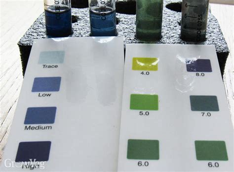Plan Your Best Garden Ever Testing Soil And Seeds Plan Your Best Garden Ever Testing Soil And Seeds