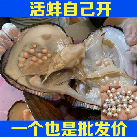 淡水河蚌 珍珠 呼吸 大山谷图库