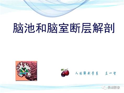 临床笔记 脑池和脑室断层解剖超全详解 脑池 脑室 解剖 影像 健康界