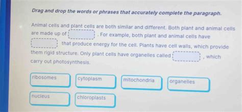 Solved Drag And Drop The Words Or Phrases That Accurately Complete The