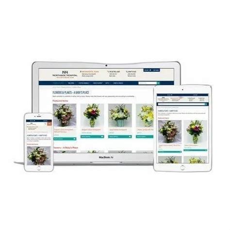 Mvc Development Services At ₹ 24000project In Sangli