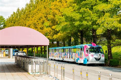 과천 서울대공원 코끼리열차와 스카이리프트 두피디아 여행기