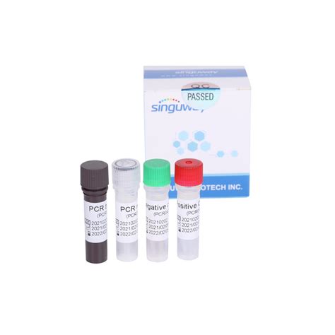 Hepatitis B Virus Dna Hbv Real Time Pcr Kit Quantitative Diagnostic 30