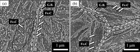 Microstructures Observed By Scanning Electron Microscopy A Thick