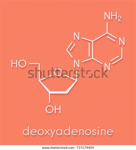 Deoxyadenosine Da Nucleoside Molecule Dna Building Stock Illustration 715574404 Shutterstock