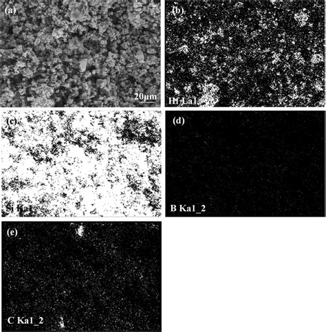 Sem Micrograph And The Corresponding Elemental Distribution Maps Of