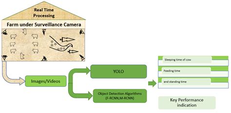 An Object Detection Application Approach To Analyze Cattle Under Camera Surveillance Centria