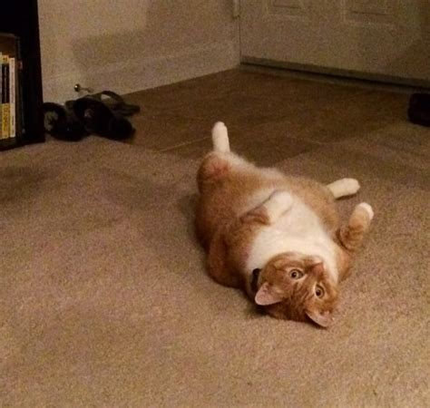 Lazy Days With Banana Everyday Accounts Lazy Days With Banana Everyday Accounts