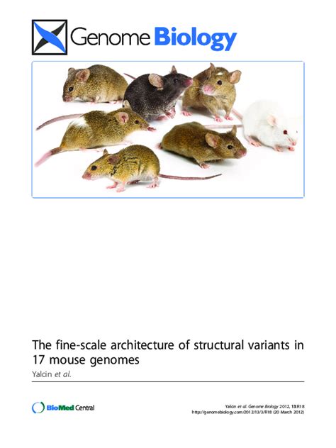 Pdf The Fine Scale Architecture Of Structural Variants In 17 Mouse